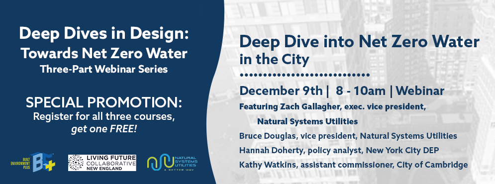 Deep Dives in Design: Towards Net Zero Water - Built Environment Plus