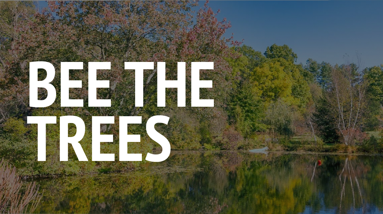 Bee the Trees - Built Environment Plus
